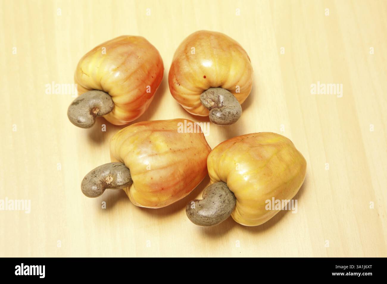 English name Cashew, Botanical name Anacardium occidentale Stock Photo ...