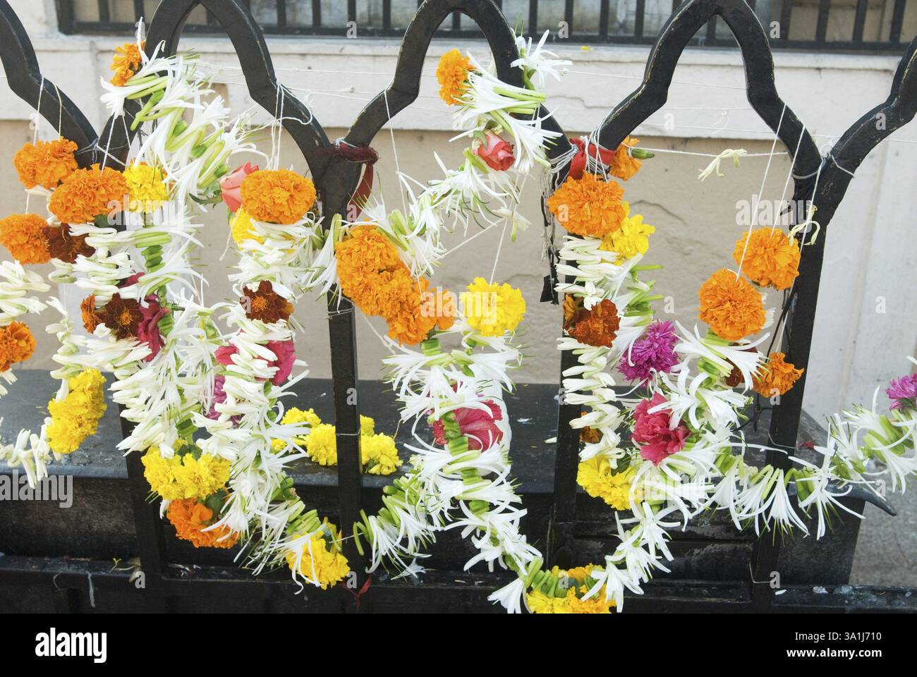 Flowers at Mount Mary church, Bandra, Bombay NAw Mumbai, Maharashtra ...