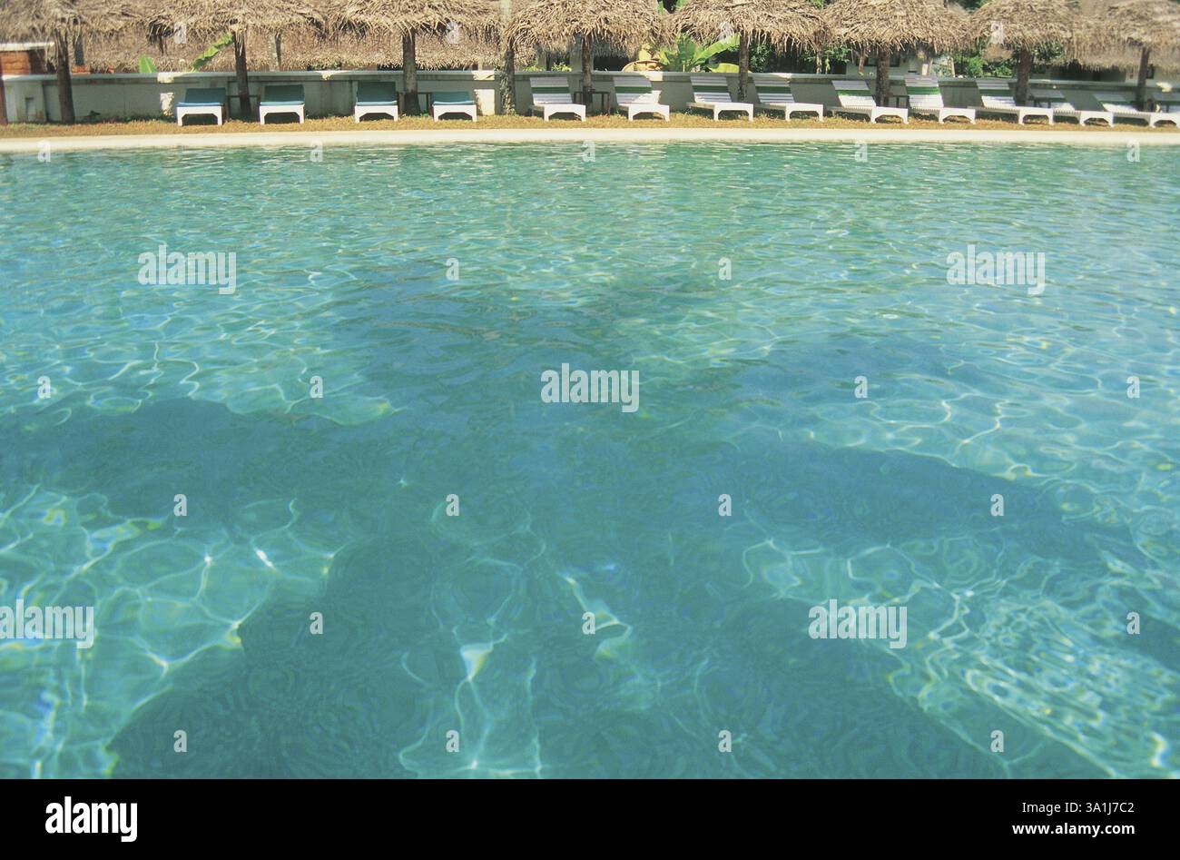 Shadow coconut tree floating hi-res stock photography and images - Alamy