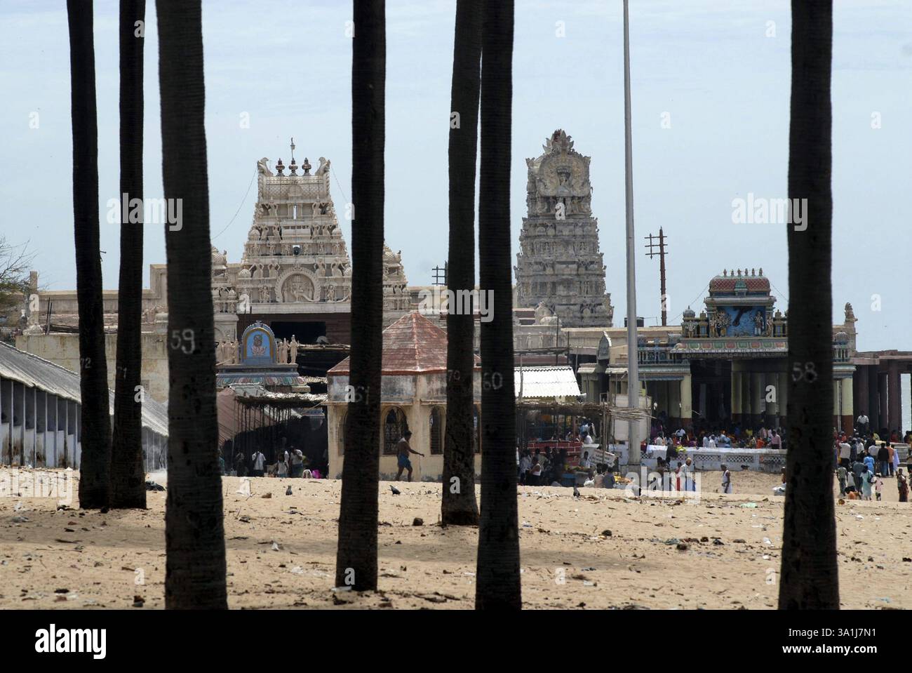 Subrahmanya Swami temple view from near by palm grove, Tiruchendur ...