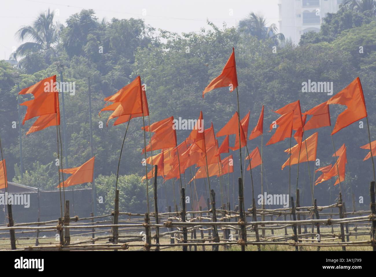 Rows of saffron colour flag of Hinduism, Shiv sena party at Dadar ...