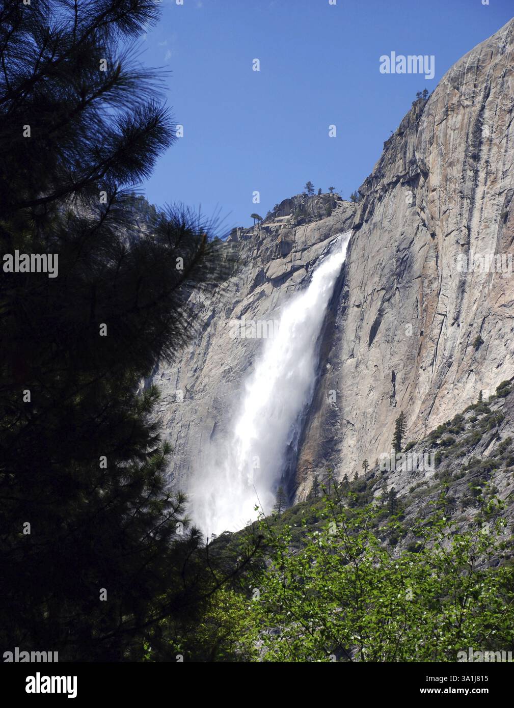 Waterfall, World Heritage Site 1984, Yosemite National park, California ...
