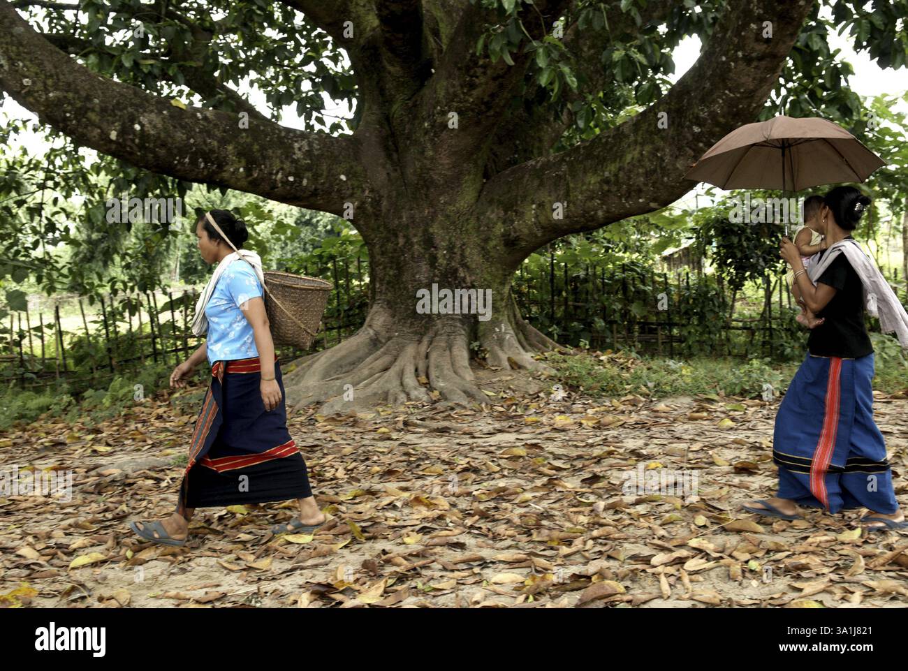 Rural women walking, Diyun, Arunachal Pradesh, India, Asia Stock Photo ...