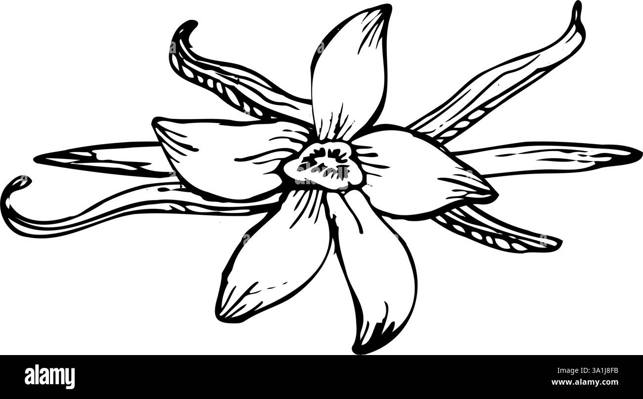 Botanical precision Black and White Stock Photos & Images - Alamy