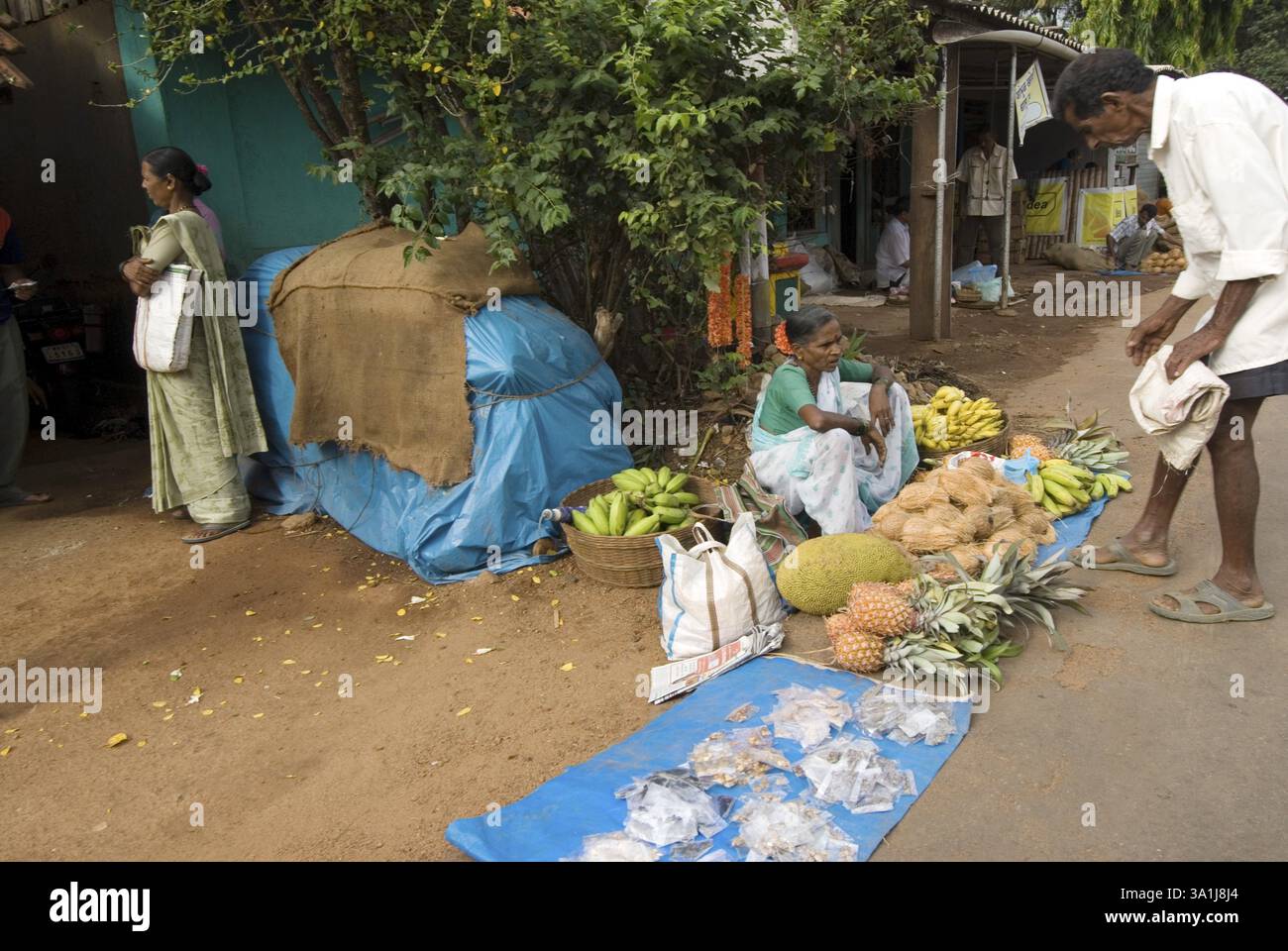 Lady hawker selling her fruits in the weekly bazaar of village kudal ...