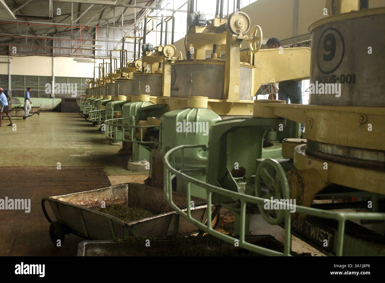 Machinery in tea factory Stock Photo - Alamy
