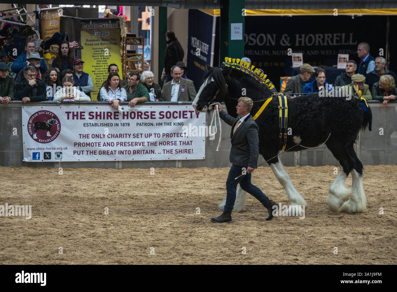 Stafford, Staffordshire, UK. 8th Mar 2025. The National Shire Horse ...