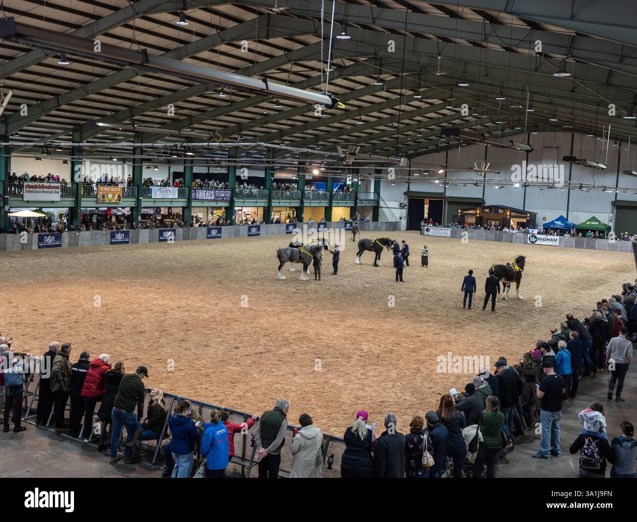 Stafford, Staffordshire, UK. 8th Mar 2025. The National Shire Horse ...