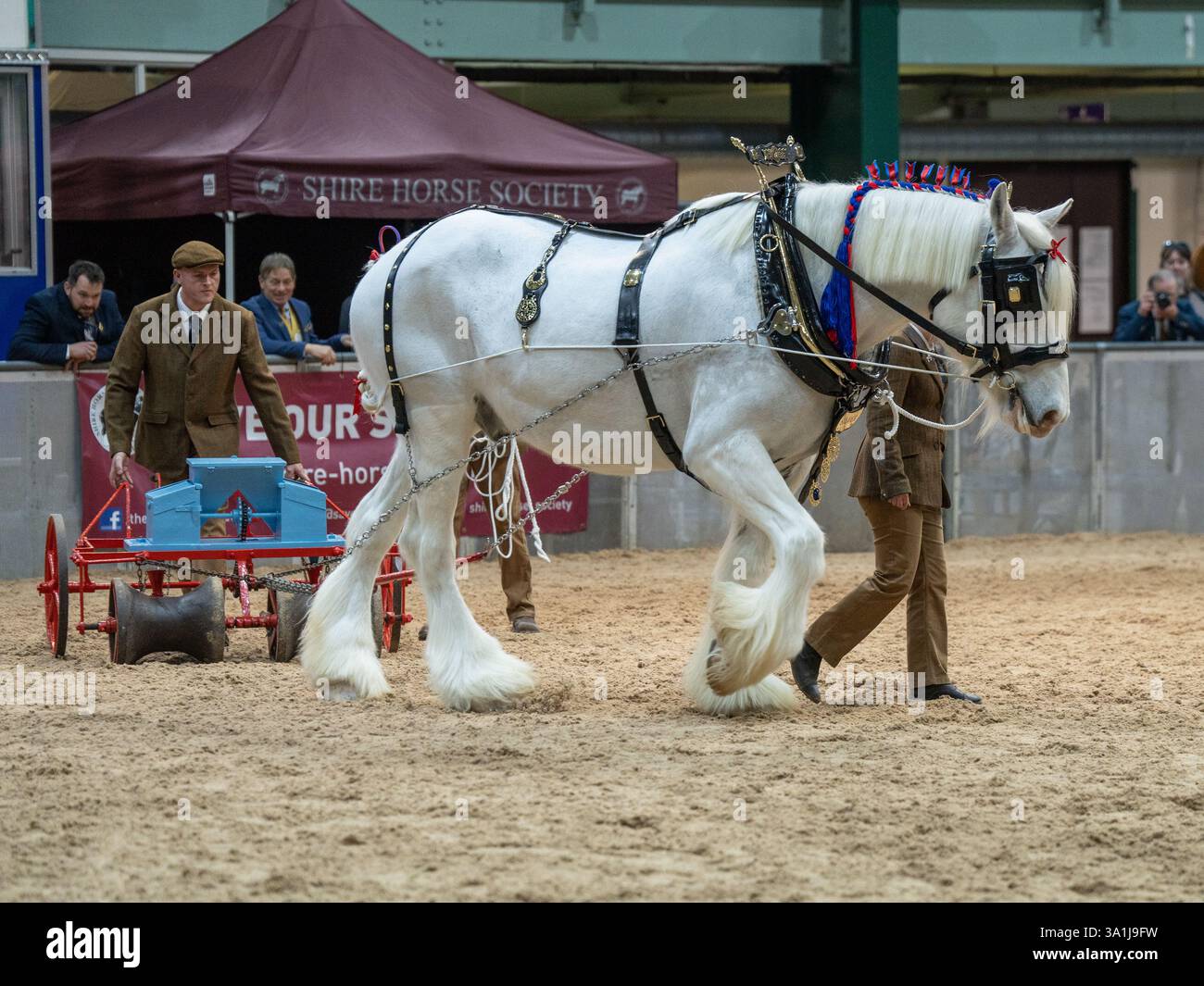 Stafford, Staffordshire, UK. 8th Mar 2025. The National Shire Horse ...