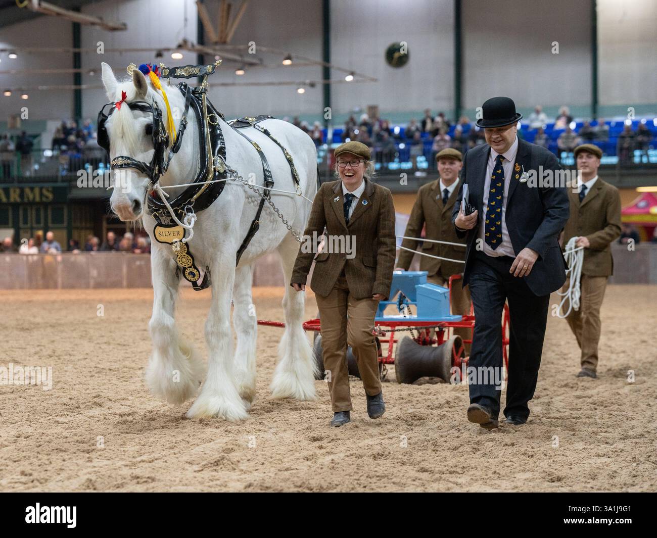 Stafford, Staffordshire, UK. 8th Mar 2025. The National Shire Horse ...