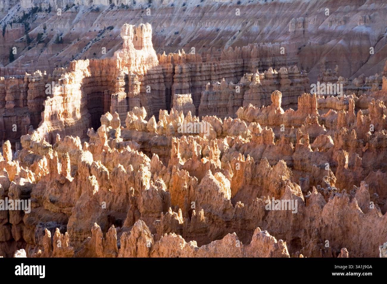 Hoodoos, pillar of rocks made by erosion at Bryce Canyon national park ...