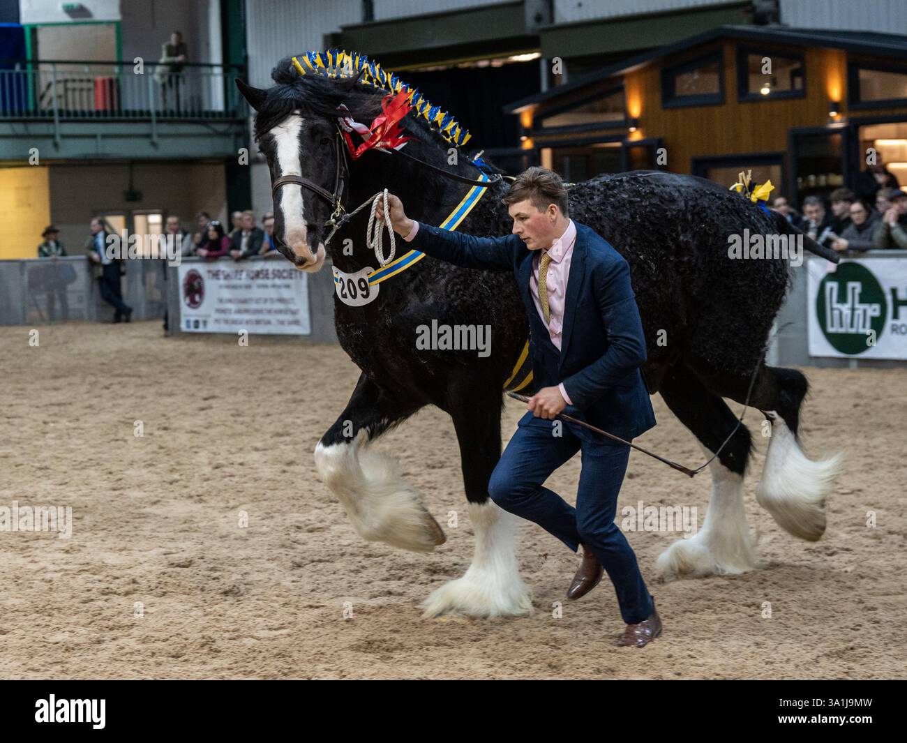 Stafford, Staffordshire, UK. 8th Mar 2025. The National Shire Horse ...