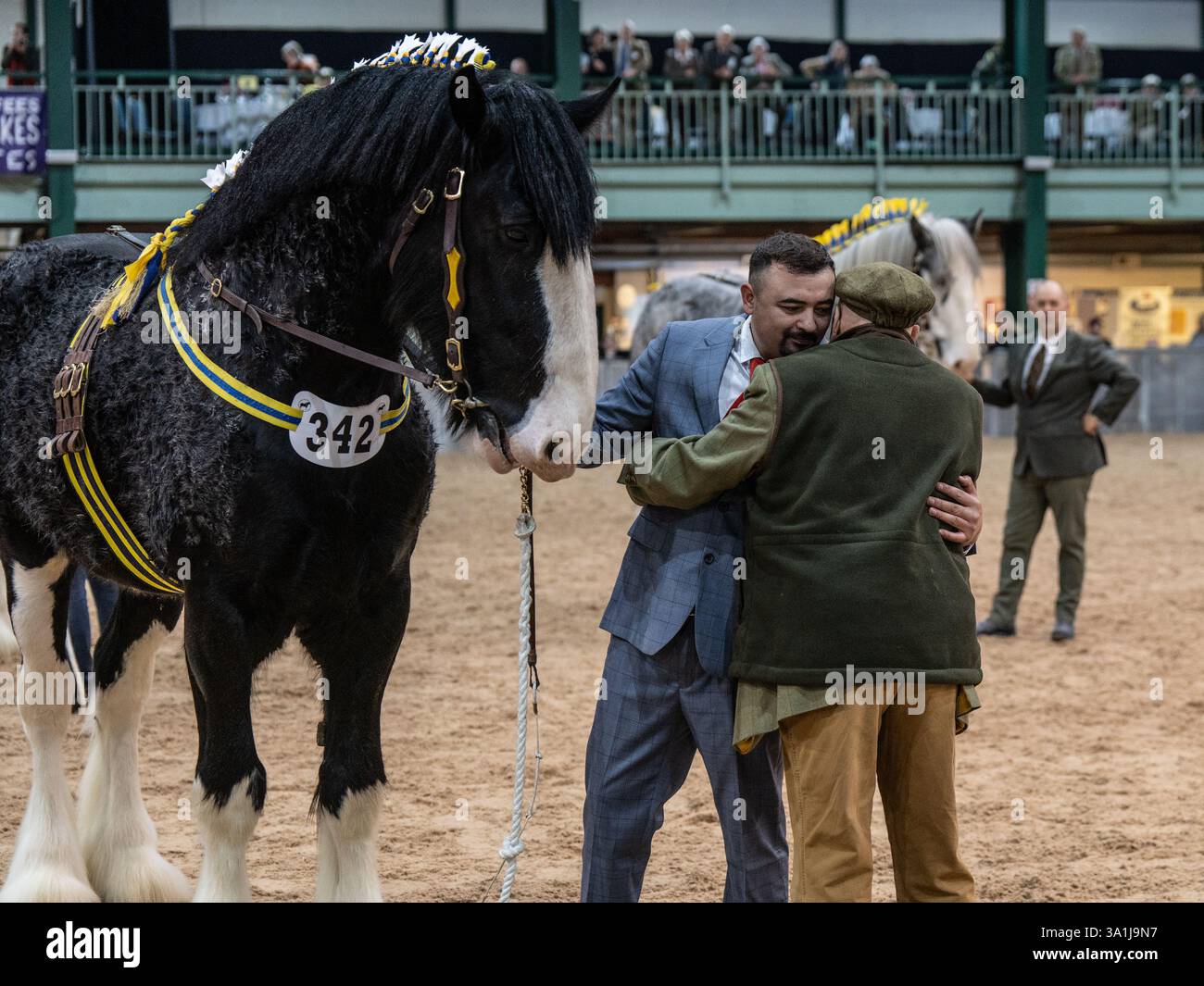 Stafford, Staffordshire, UK. 8th Mar 2025. The National Shire Horse ...