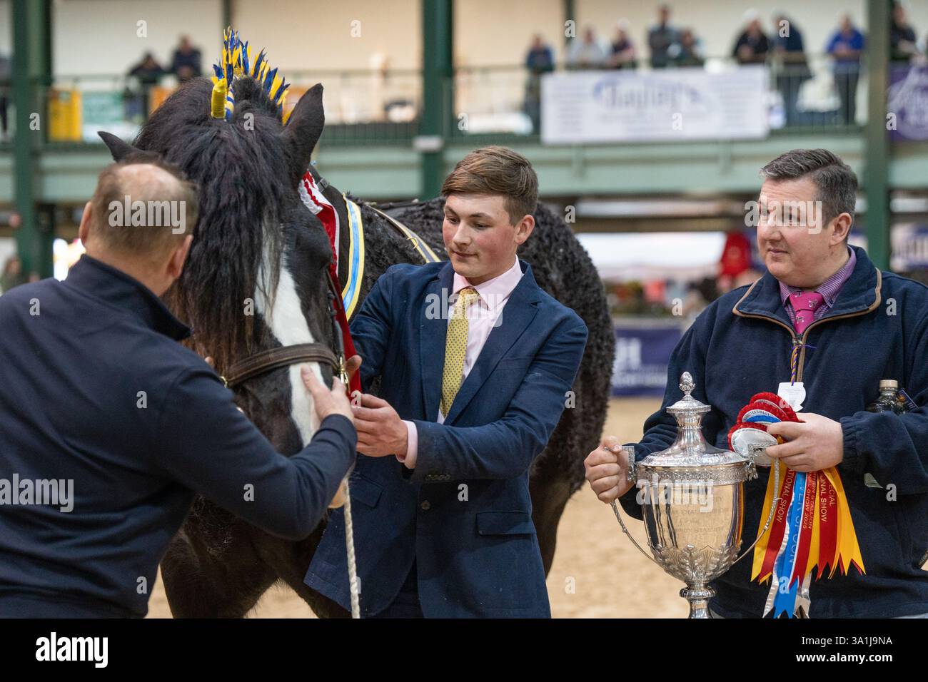 Stafford, Staffordshire, UK. 8th Mar 2025. The National Shire Horse ...