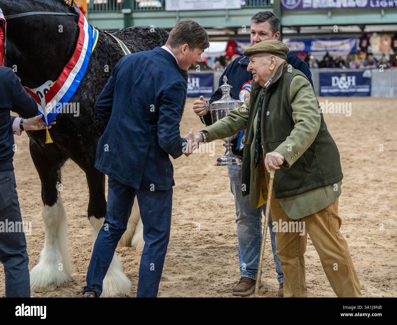 Stafford, Staffordshire, UK. 8th Mar 2025. The National Shire Horse ...