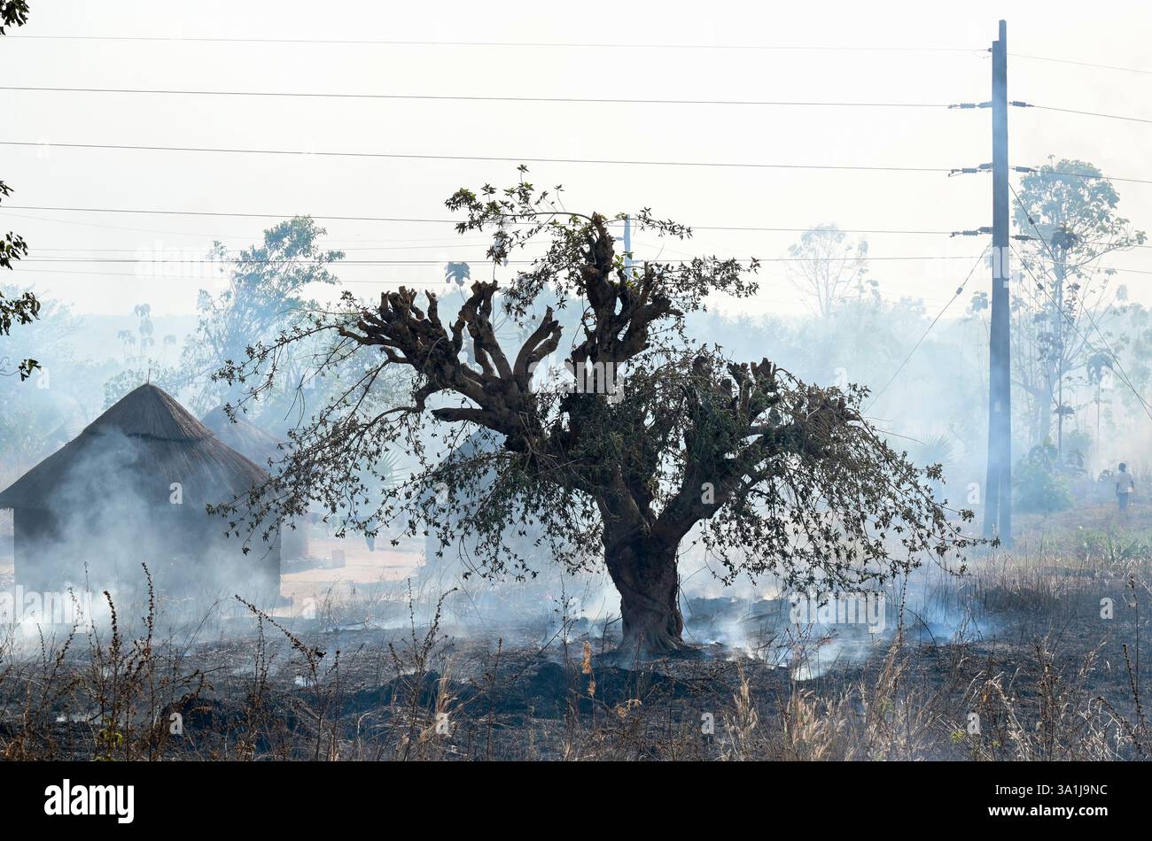 UGANDA, Adjumani, bushfires, slash and burn cultivation, sometimes the ...
