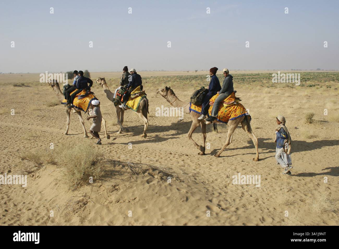 Camel ride at Sam Thar desert safari sand dunes, Jaisalmer, Rajasthan ...