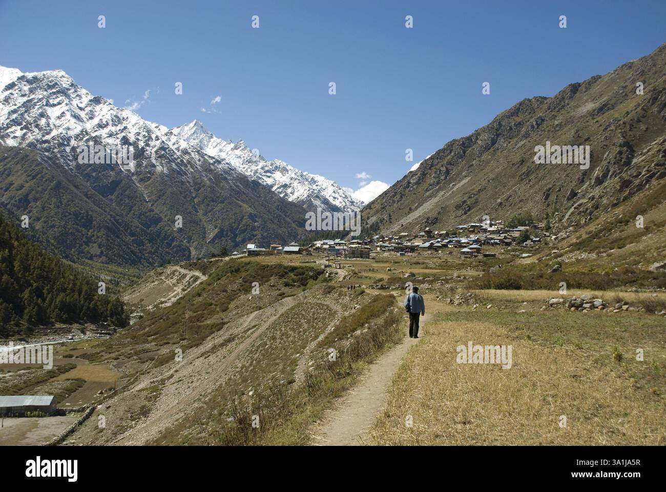Chitkul Valley, Sangla Valley, Himachal Pradesh, India, Asia Stock ...