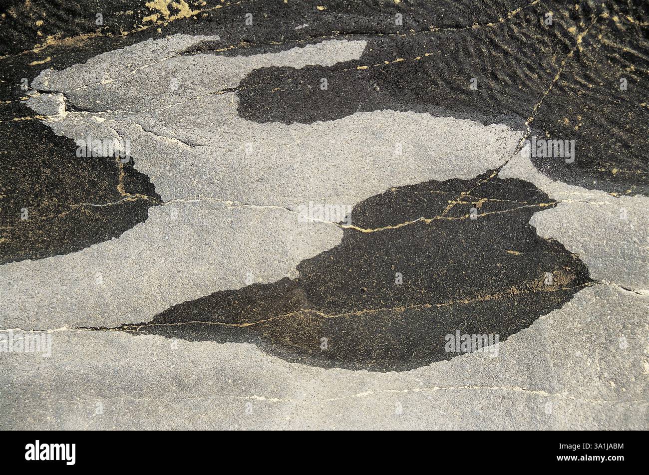 Dry rock and wet patches on rock Ghadoi, Gujarat, India, Asia Stock ...