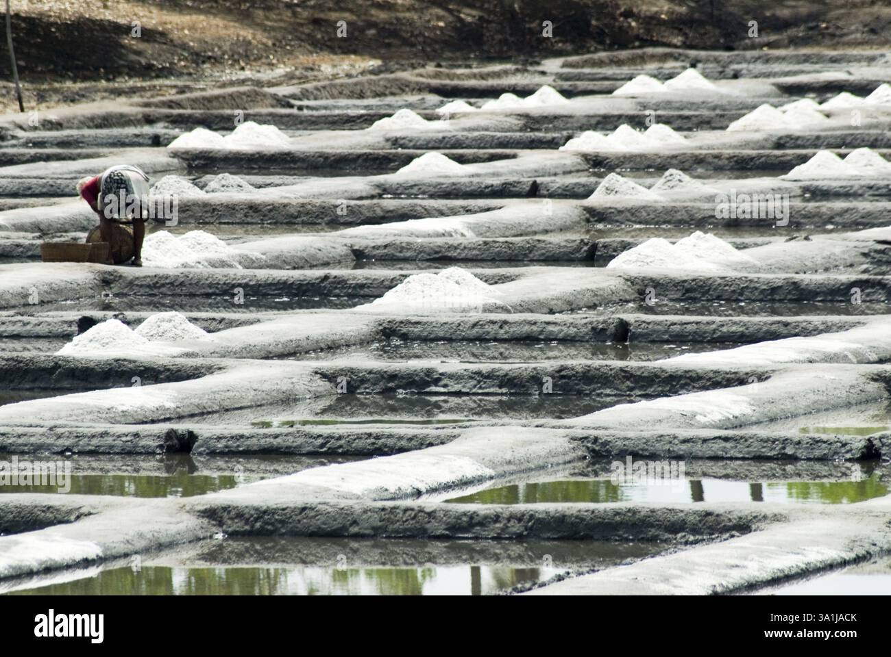 Salt meadow or saltpans at village Shiroda, district Sindhudurga ...