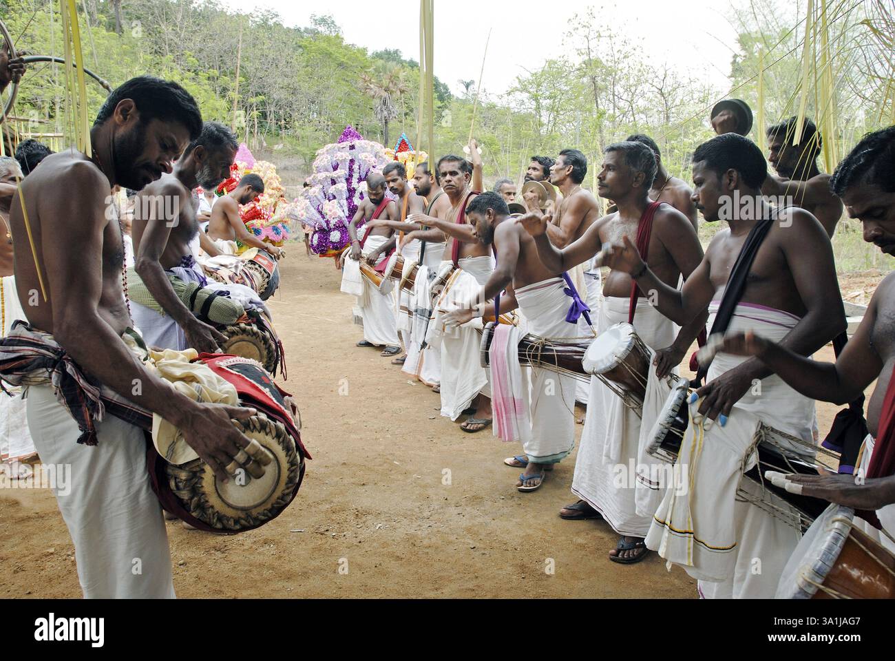 Musicians playing for temple festival, Kerala, India, Asia Stock Photo ...