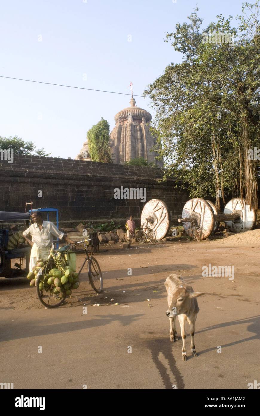 The 11th Century Temple of Lord Lingaraj the epitome of architectural ...
