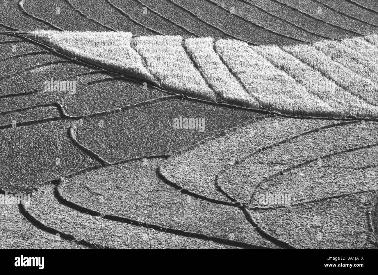 Step photo Black and White Stock Photos & Images - Alamy