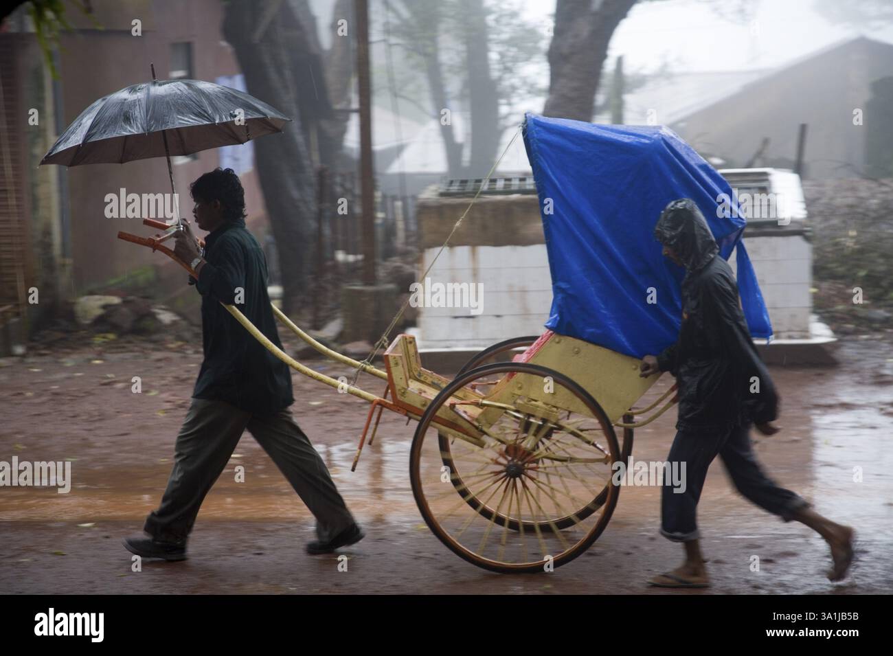 Monsoon, man pulling cycle rickshaw in rainwater, Matheran, Maharashtra ...