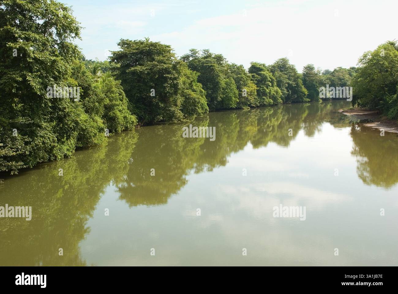 Mangroves in the back waters of sindhu sagar (Arabian Sea) on way to ...