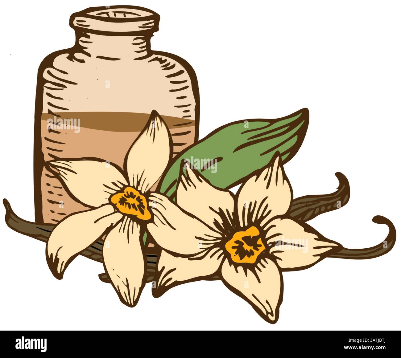 Aromatic extracts Stock Vector Images - Alamy