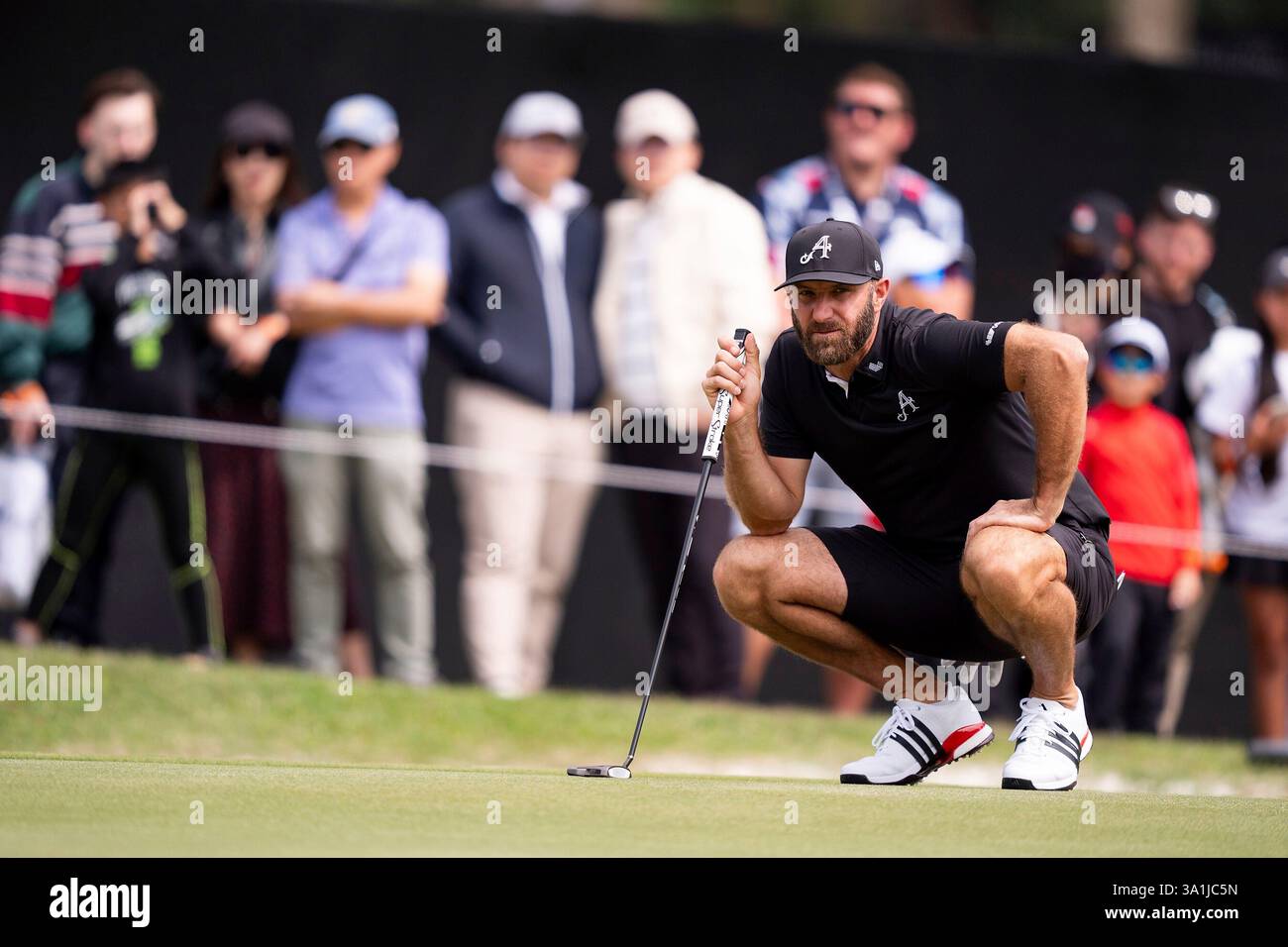 Captain Dustin Johnson of 4Aces GC reads his putt on the third green ...