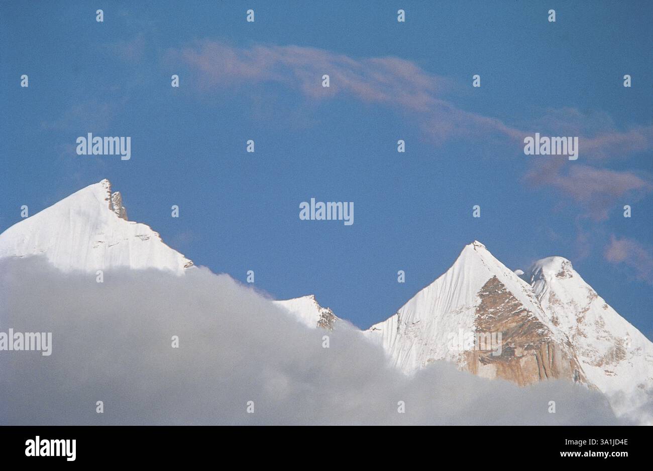 View of Bhagirathi peaks from Chirbas (3610 m), Garhwal, Uttar Pradesh ...