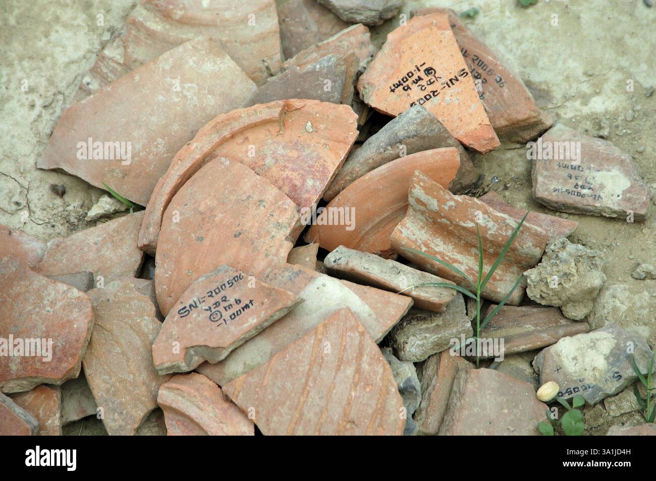 Excavations of burial site (4K years old) at Sinauli, Uttar Pradesh ...