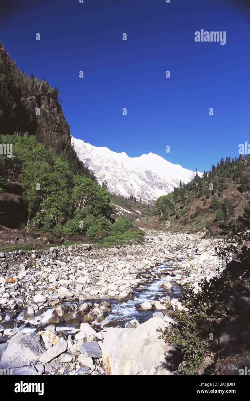 Landscape, Dhundi, Himachal Pradesh, India, Asia Stock Photo - Alamy