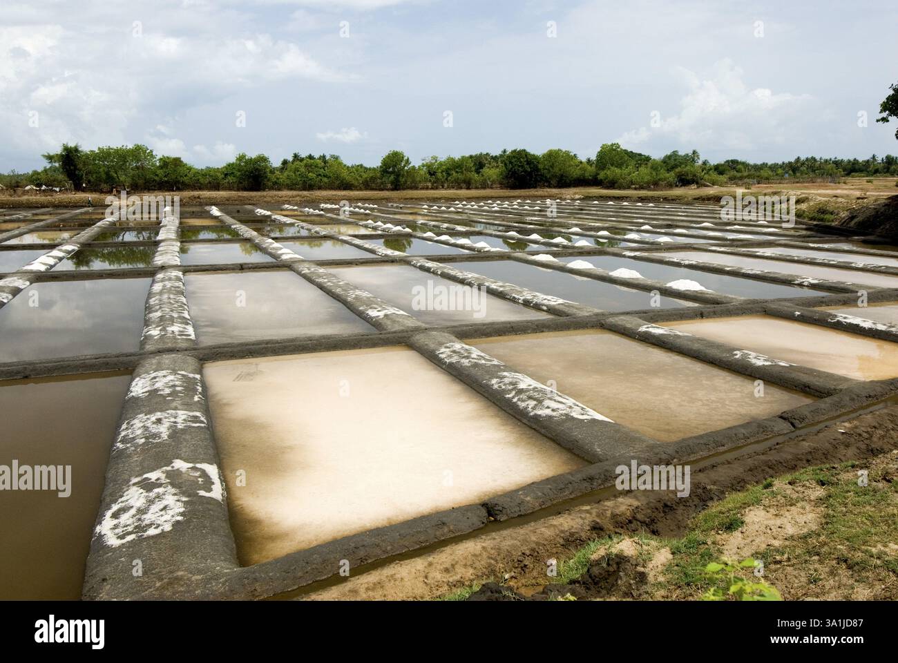 Salt meadow or saltpans at village Shiroda, district Sindhudurga ...
