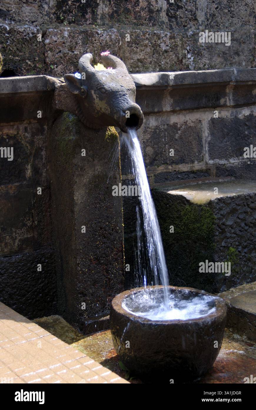 Cow mouth in stone Gomukha at Keshave temple at Dapoli, District ...