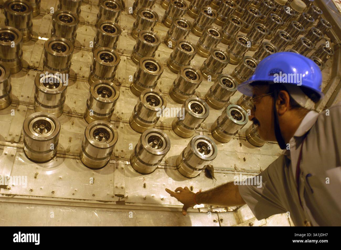 Reactors face showing 392 coolants channel assemblies during ...