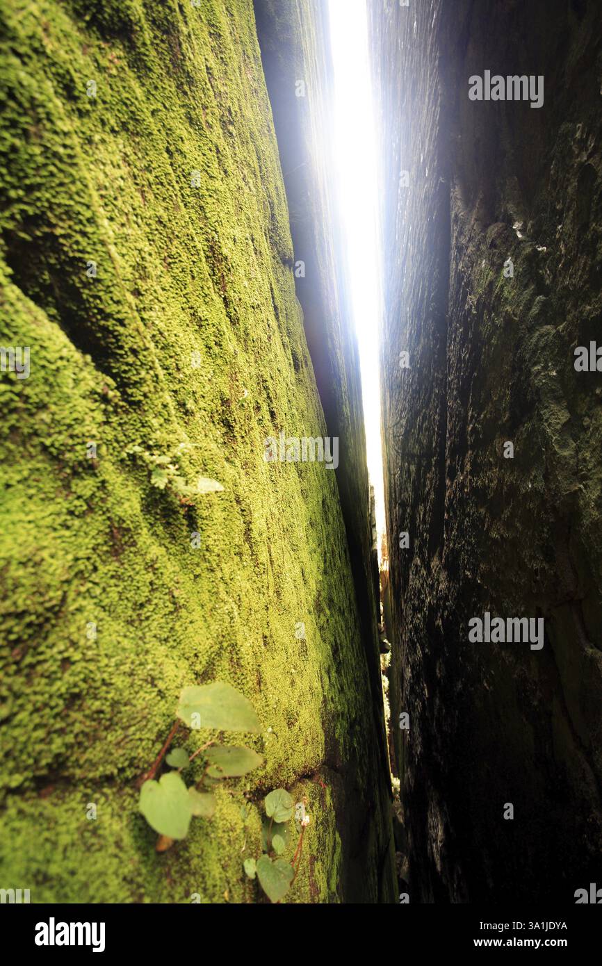 Edakkal cave, Vynadu, Kerala, India, Asia Stock Photo - Alamy