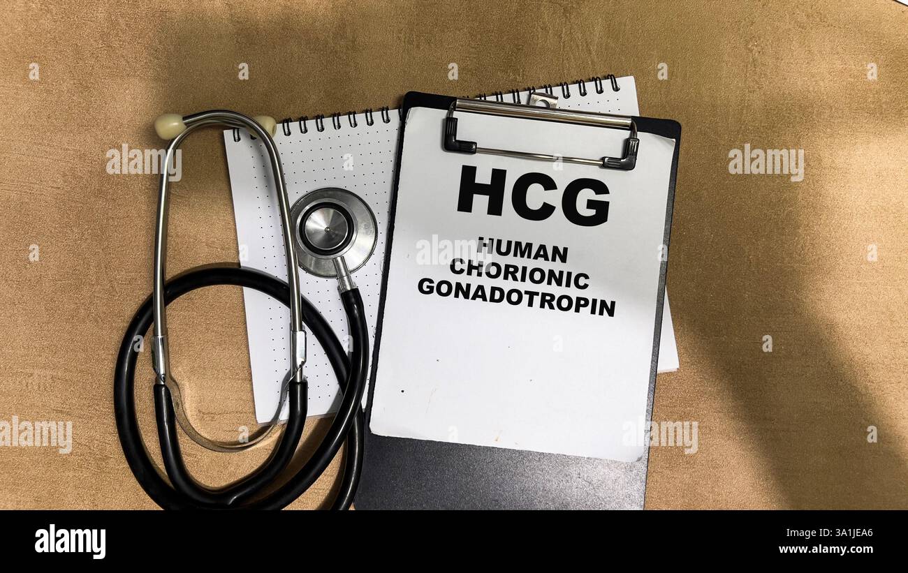 Concept of HCG - Human Chorionic Gonadotropin write on paperwork ...
