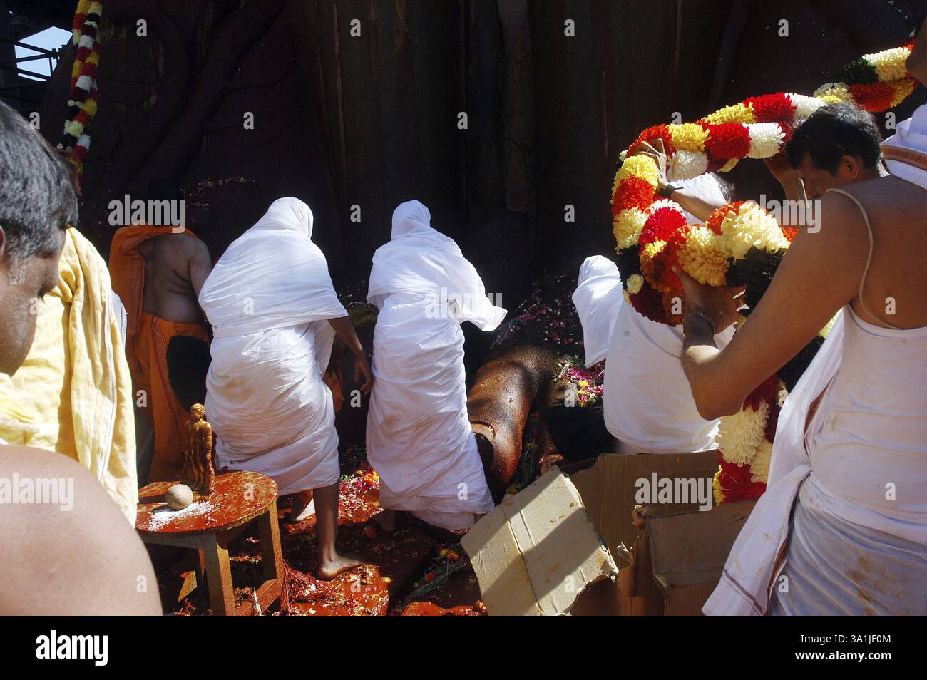 Jain sadhavis touch foot of 57 feet high statue of lord Bahubali kNAwn ...
