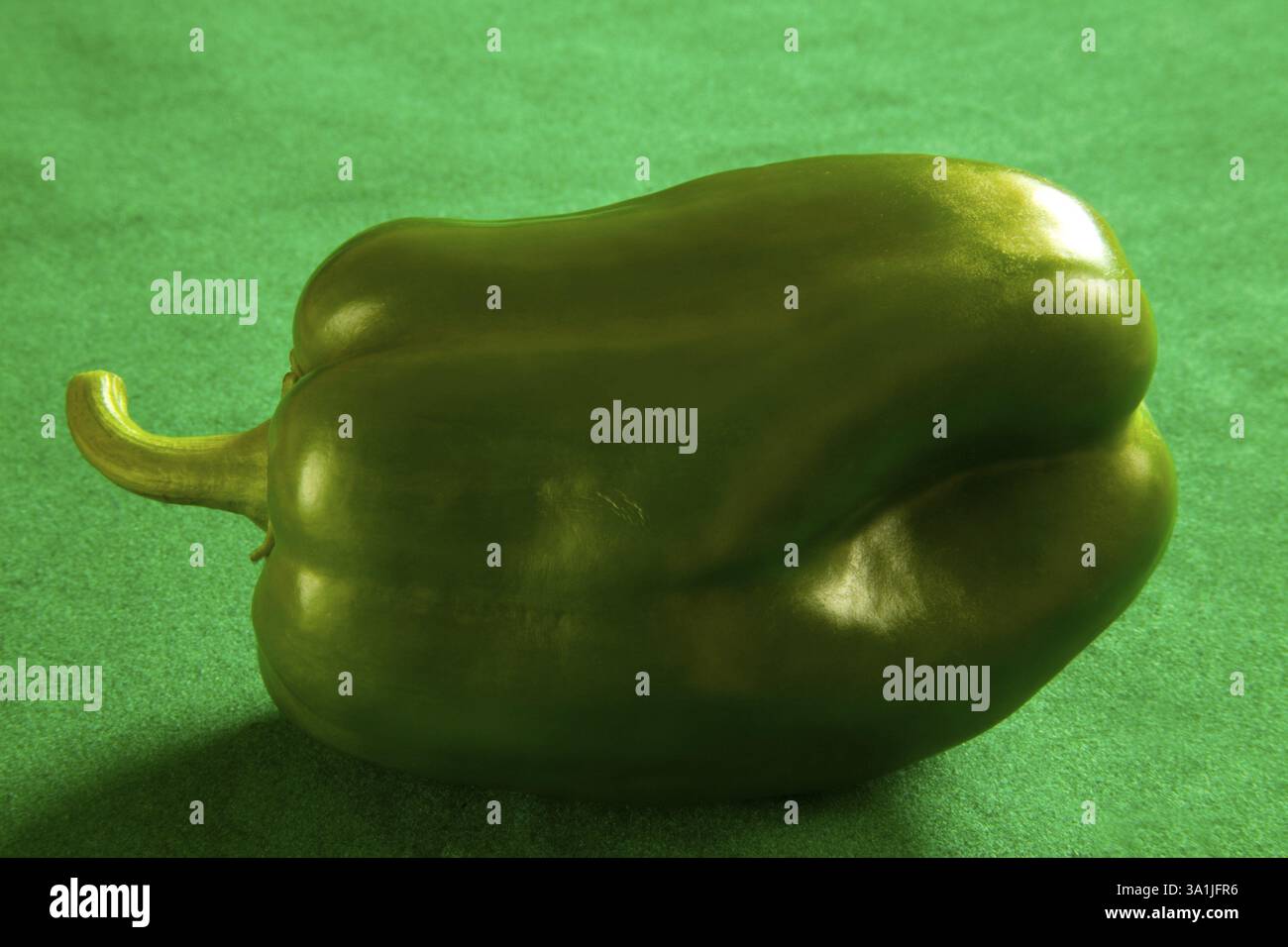 Vegetable, Spice, Green Capsicum, Shimla Mirch (Capsicum annuum Stock ...