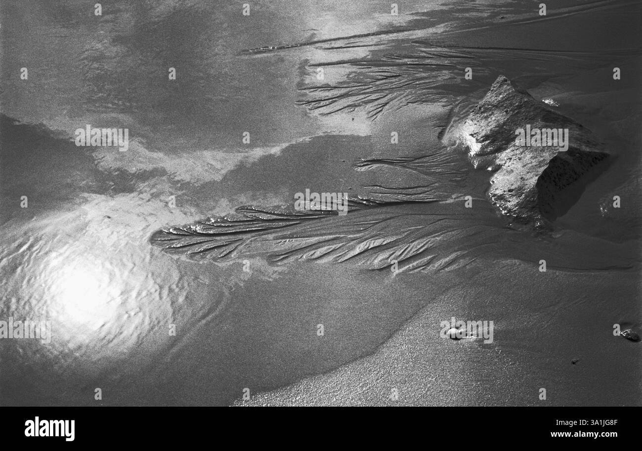 Creepers designs refection of sun and rock on sand, Porbandar area of ...