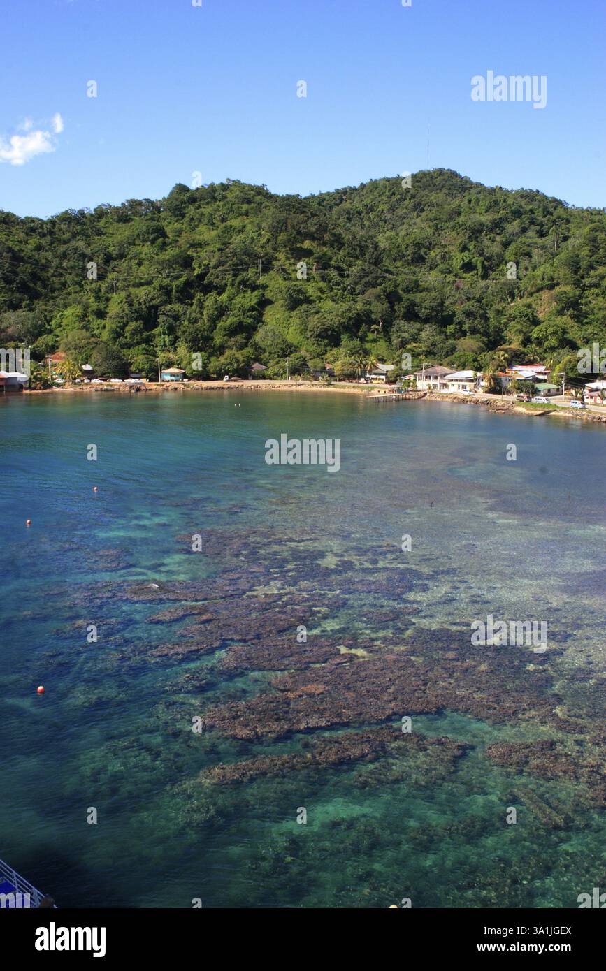 Downtown, Coral in water, Roatan island, Country Honduras Stock Photo ...