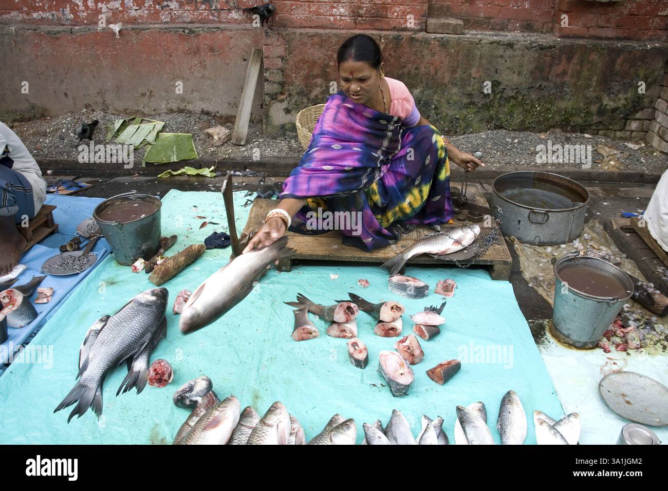 Woman selling fish in fish market, Siyaldah, Calcutta NAw Kolkata, West ...