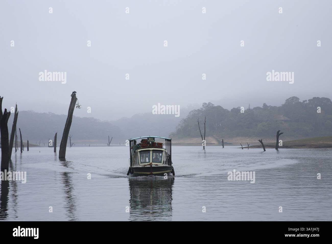 Early morning landscape of Periyar lake tourists on boat ride at ...