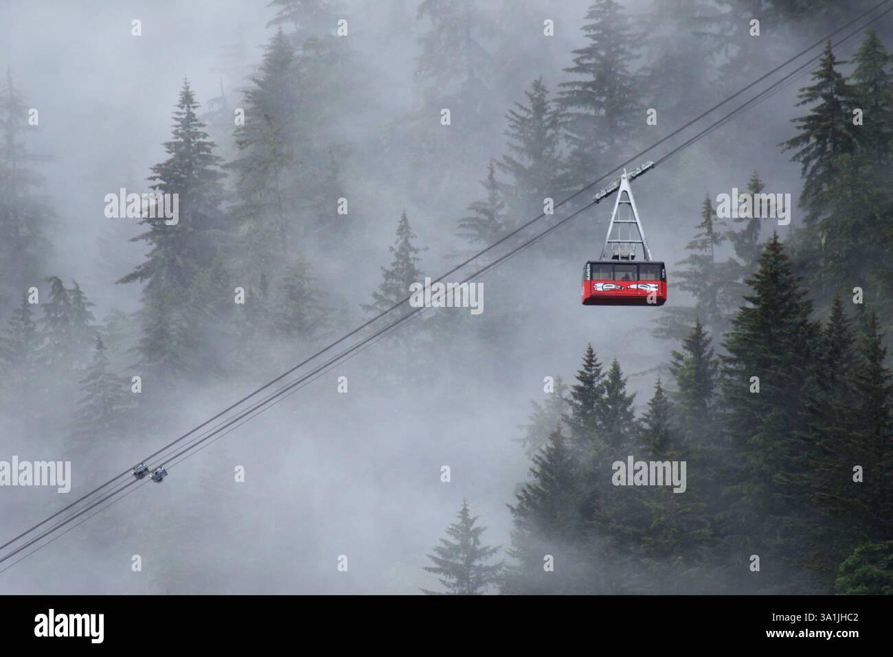 Mist in forest, Juneau, Alaska, U.S.A. United States of America Stock ...