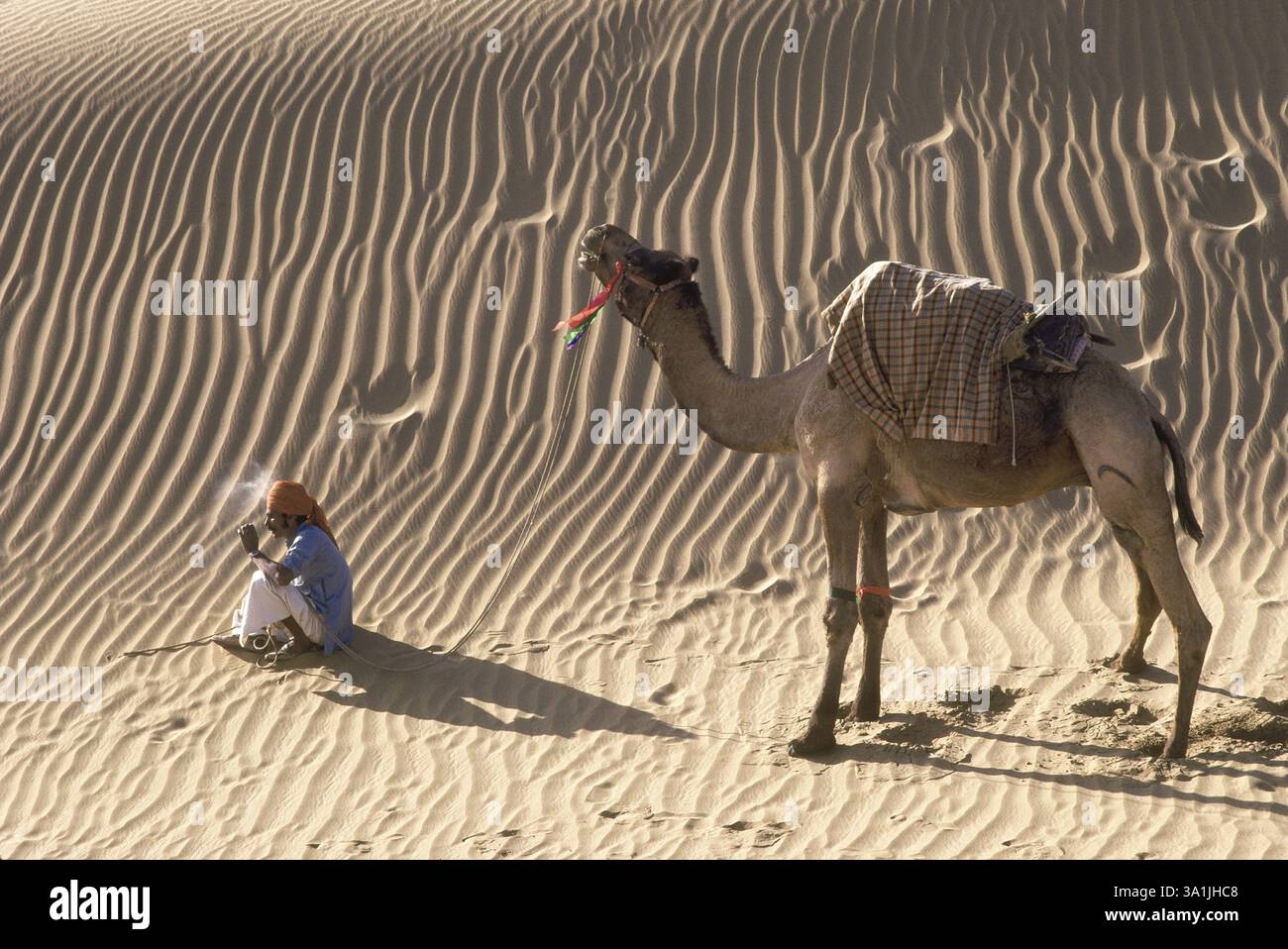 Made for each other, rajasthani man smoking sitting in desert and camel ...