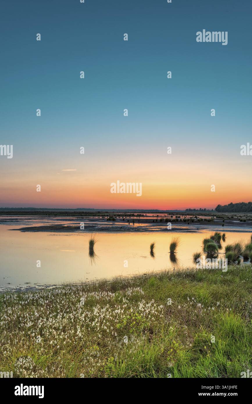 Narth hi-res stock photography and images - Alamy