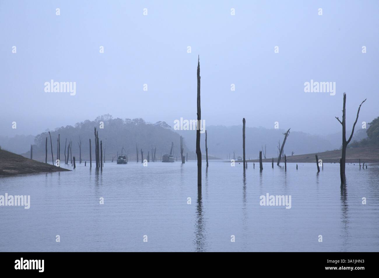 Early morning landscape of Periyar lake tourists on boat ride at ...