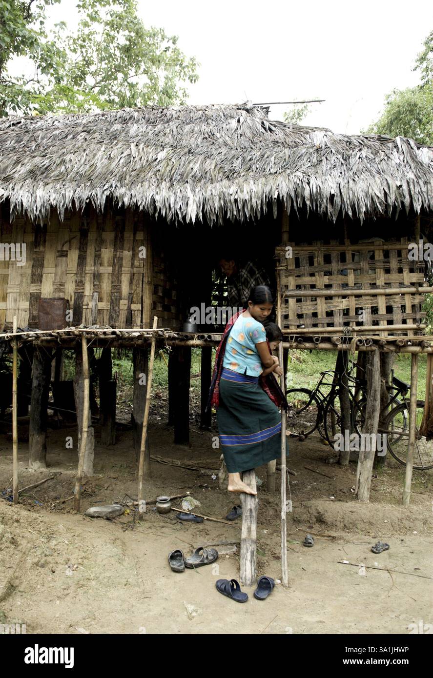 Chakamas traditional hut, Diyun, Arunachal Pradesh, India, Asia Stock ...